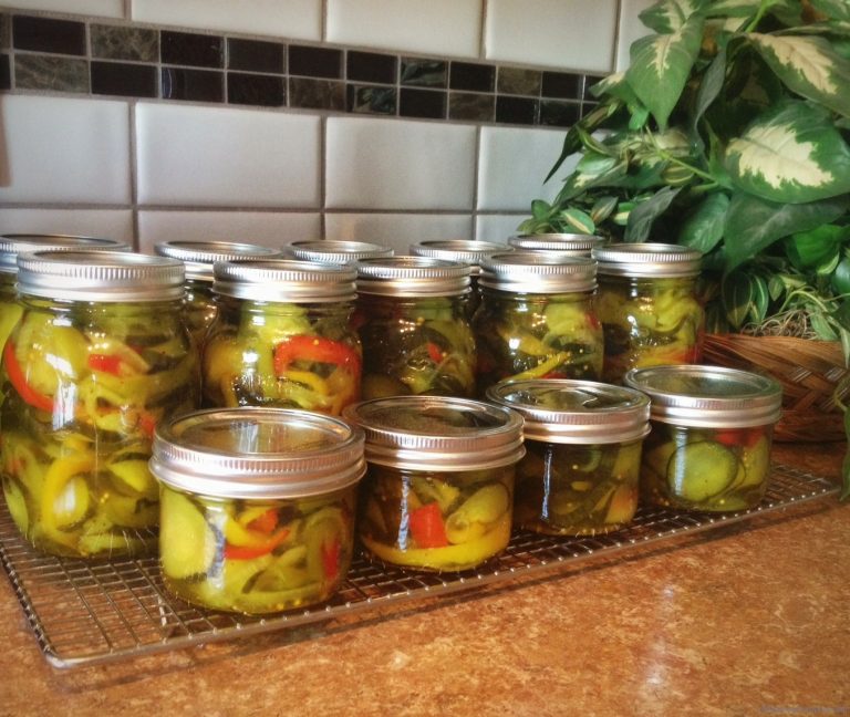 Yum Yum Pickles - Nutmeg Disrupted
