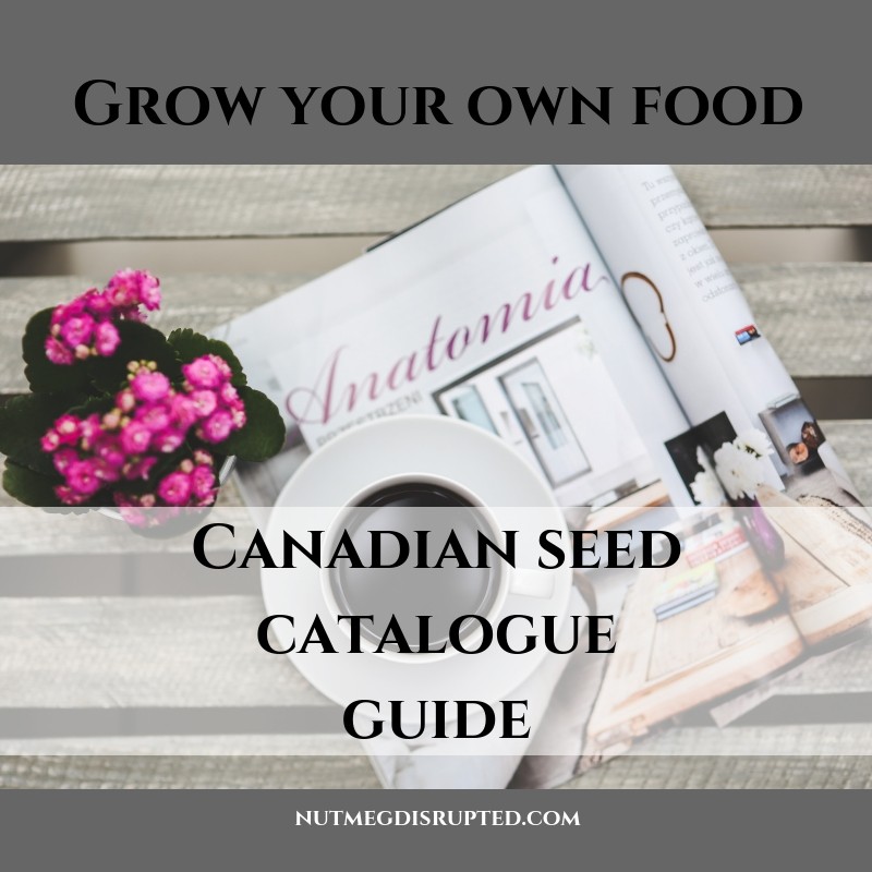 Canadian Seed Catalogue Guide - Nutmeg Disrupted