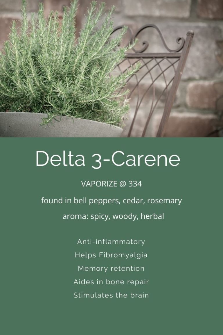 Terpenes A Closer Look at Delta 3 Carene - Nutmeg Disrupted