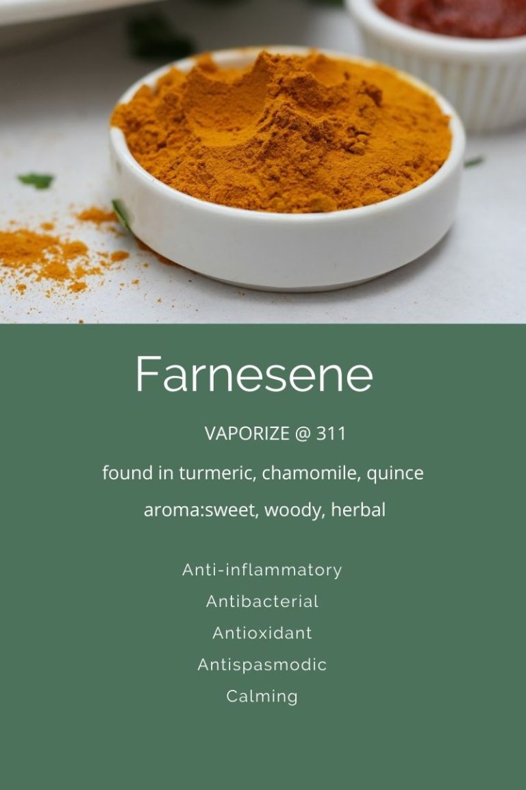Terpenes A Closer Look At Farnesene - Nutmeg Disrupted