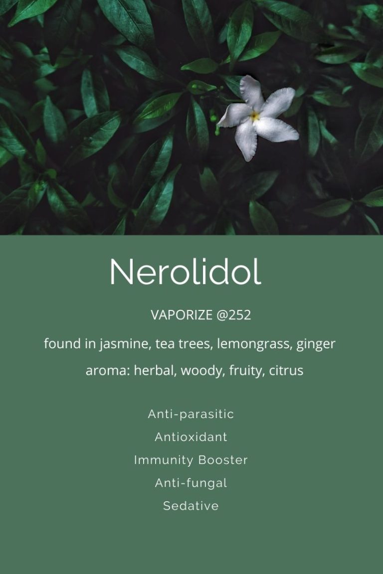 Terpenes A Closer Look At Nerolidol - Nutmeg Disrupted